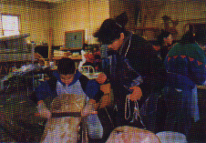 Pauline Duncan's Tlingit Curriculum Resources